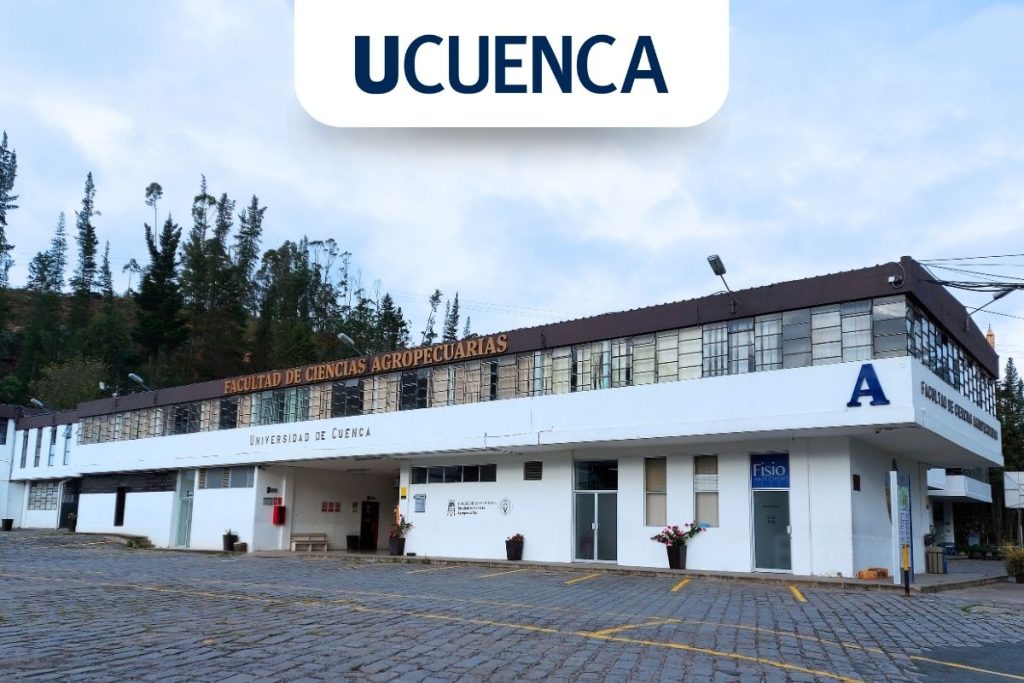 El recorrido de las universidades hacia la Transformación Digital. Caso ...